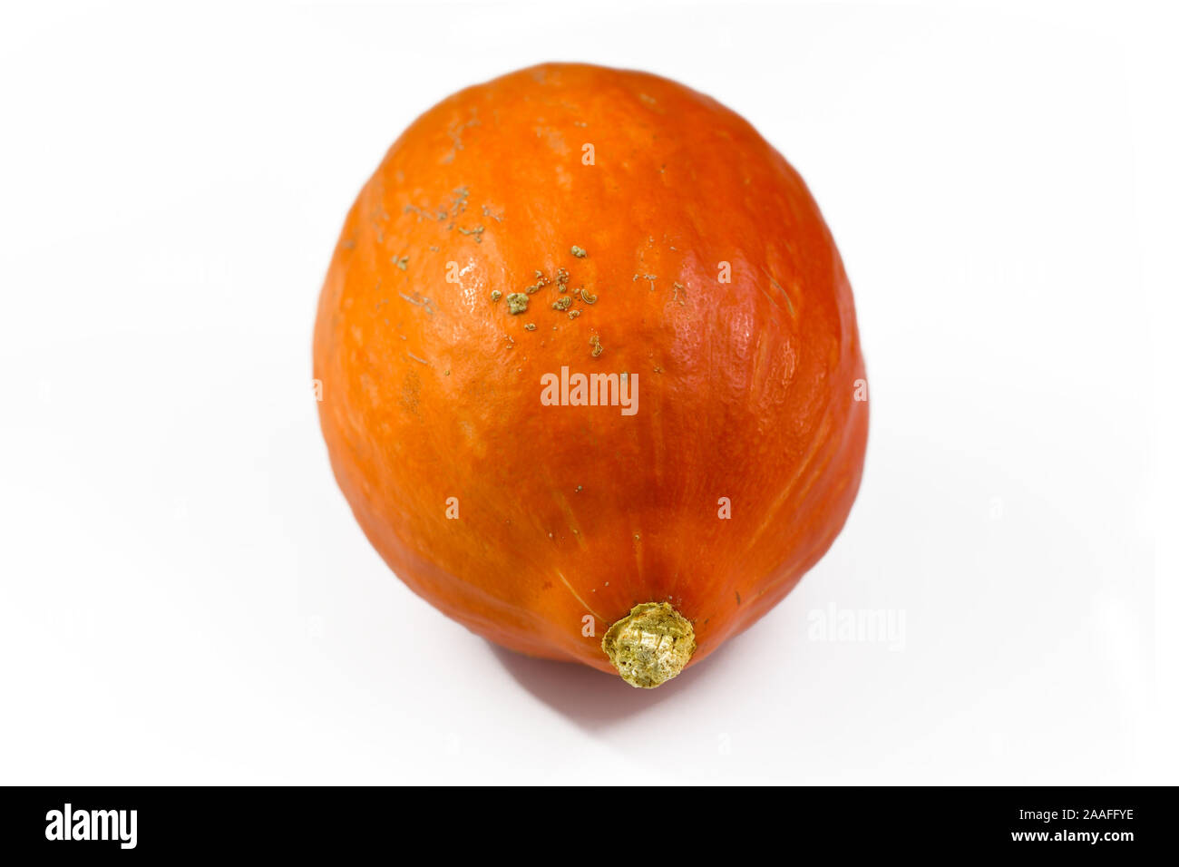 Round 'Red Kuri' squash, also called 'Hokkaido' squash, a round orange ...