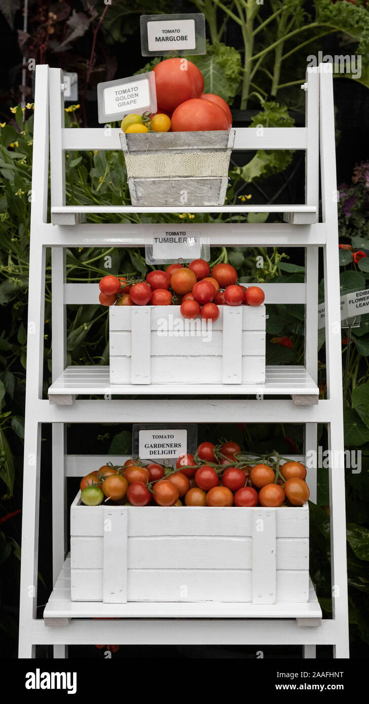 Vegetable display with tomatoes at Chelsea Flower Show, London, England ...