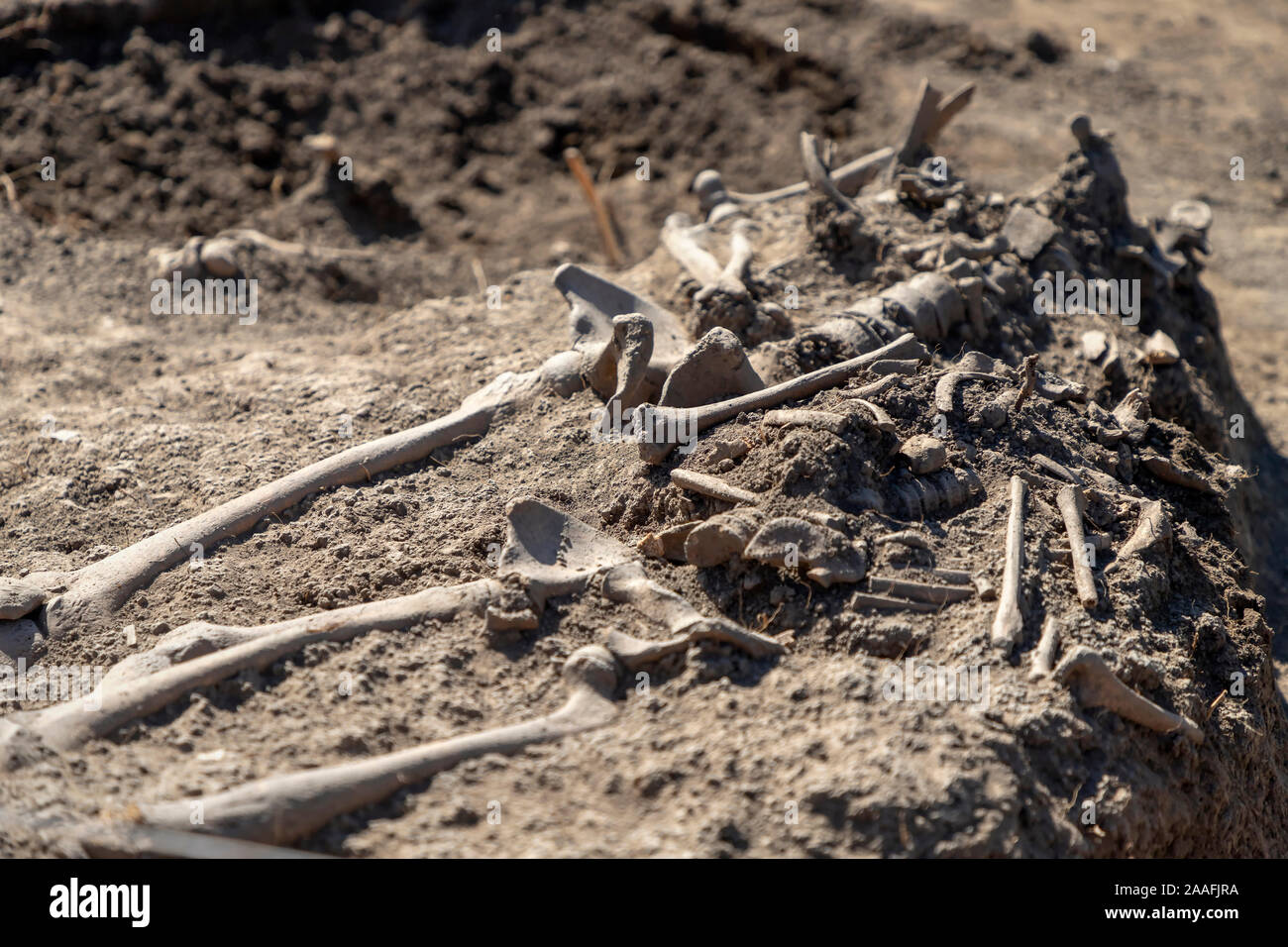 Serbia, September 27, 2019: Human remains from the Roman period ...