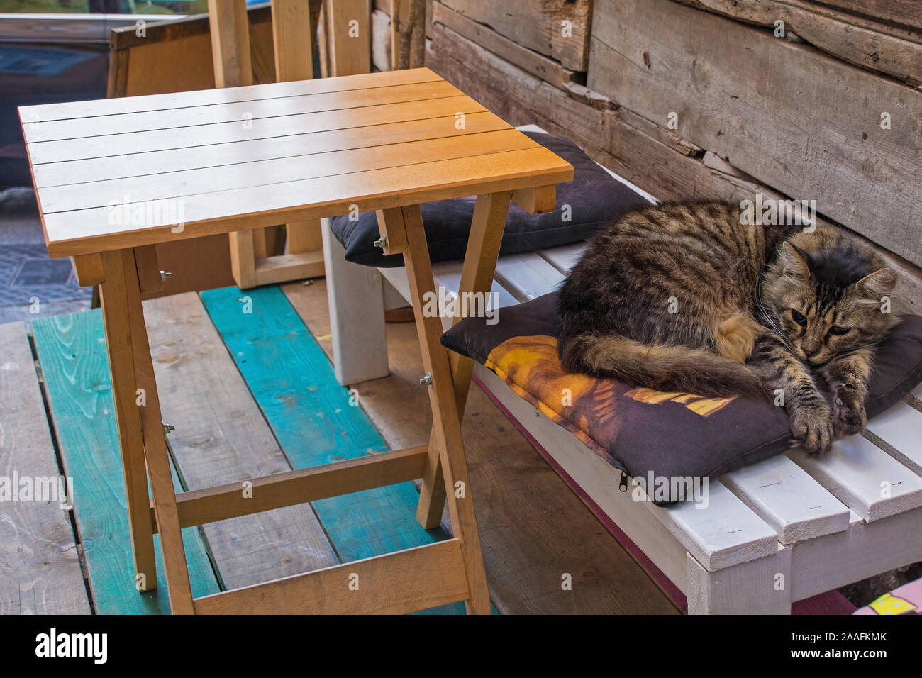 Istanbul cat hi-res stock photography and images - Alamy