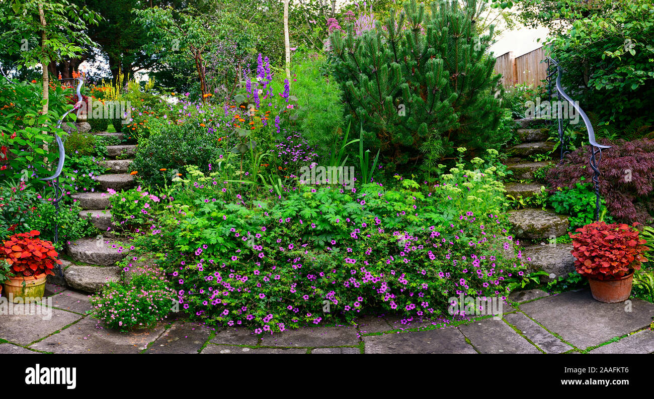 stone,granite steps, path,steep,terrace,Patthana garden,kiltegan ...