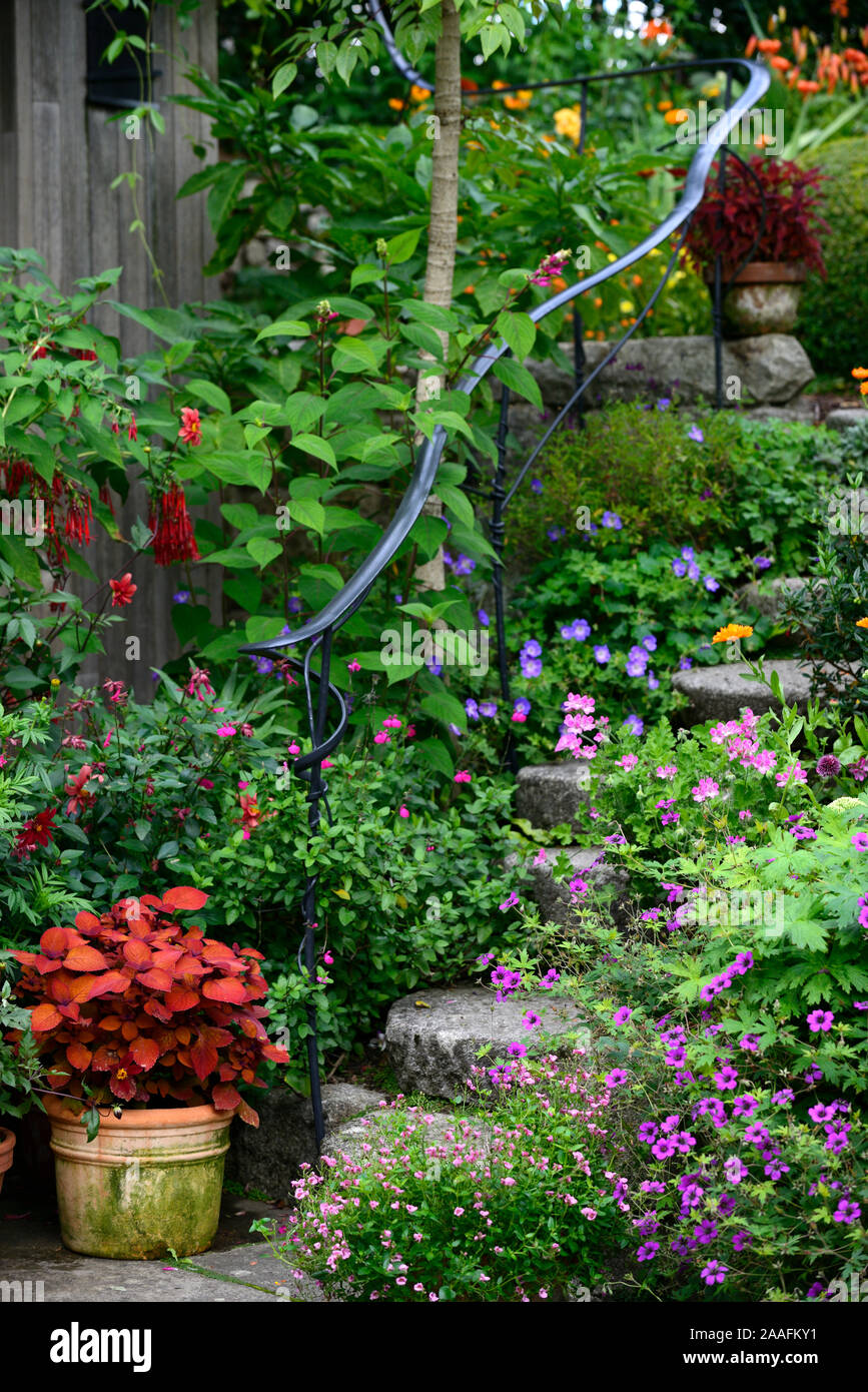 Terrace border hi-res stock photography and images - Alamy