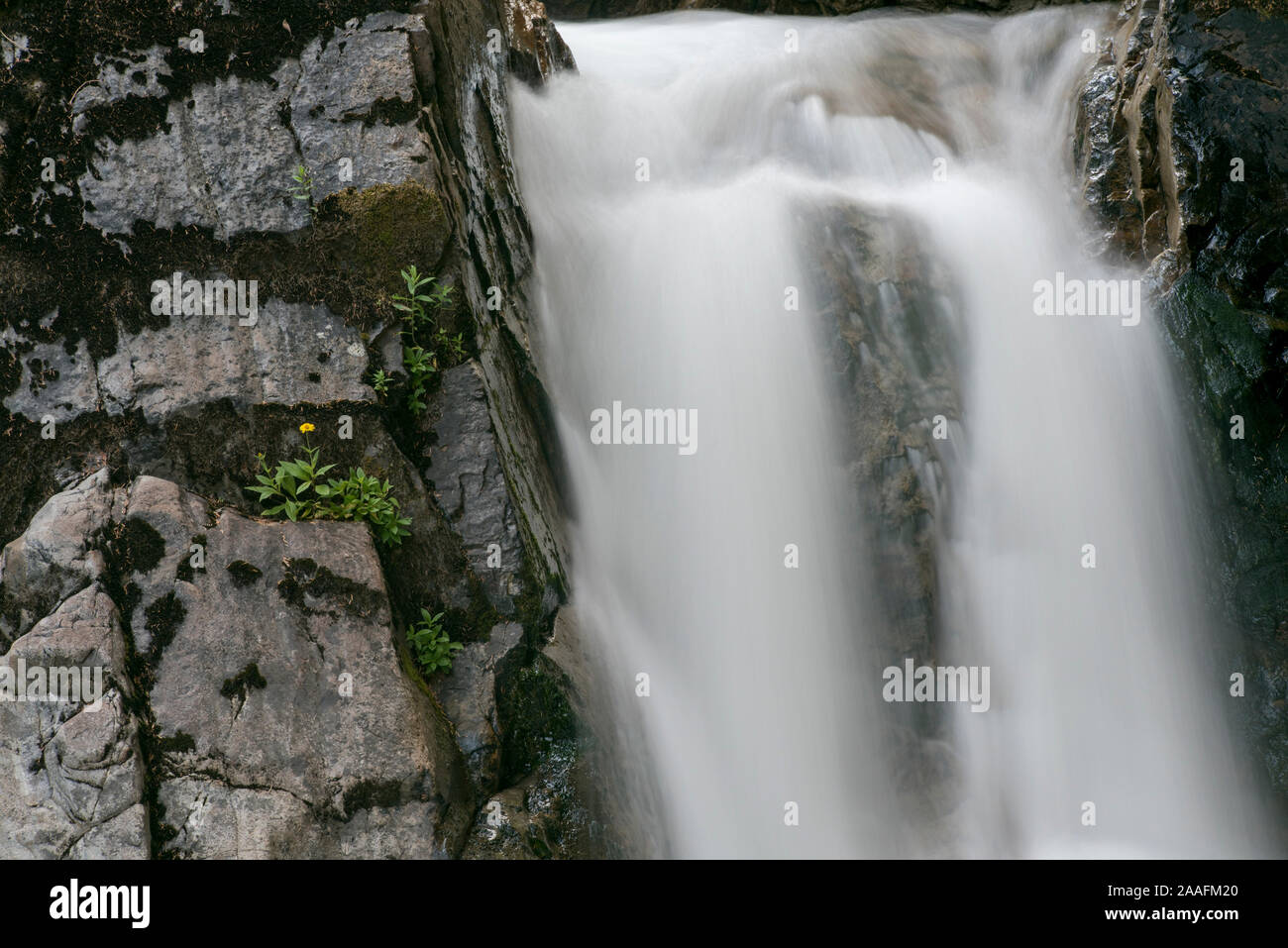 Creston british columbia hi-res stock photography and images - Alamy