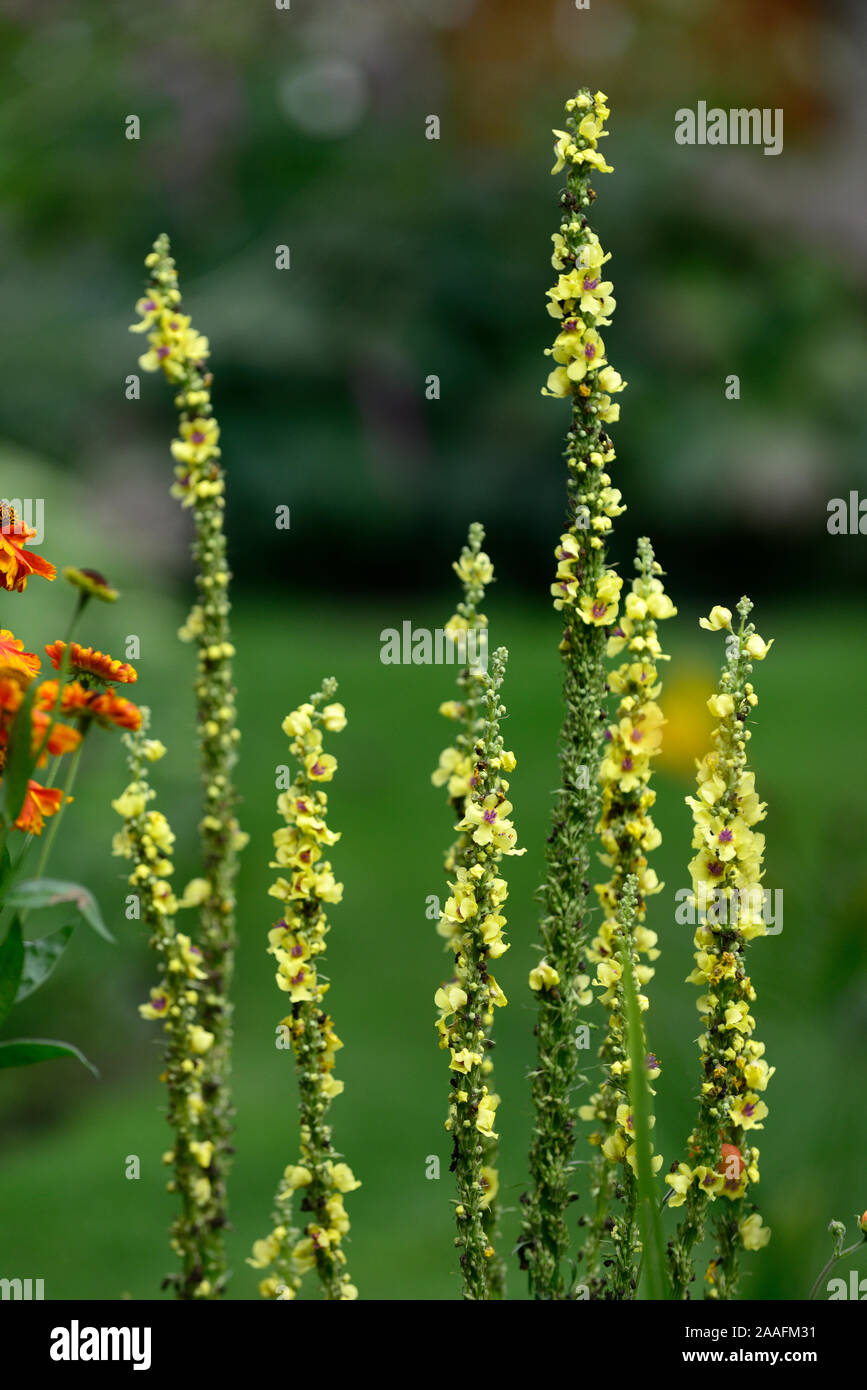 Sixteen candles hi-res stock photography and images - Alamy