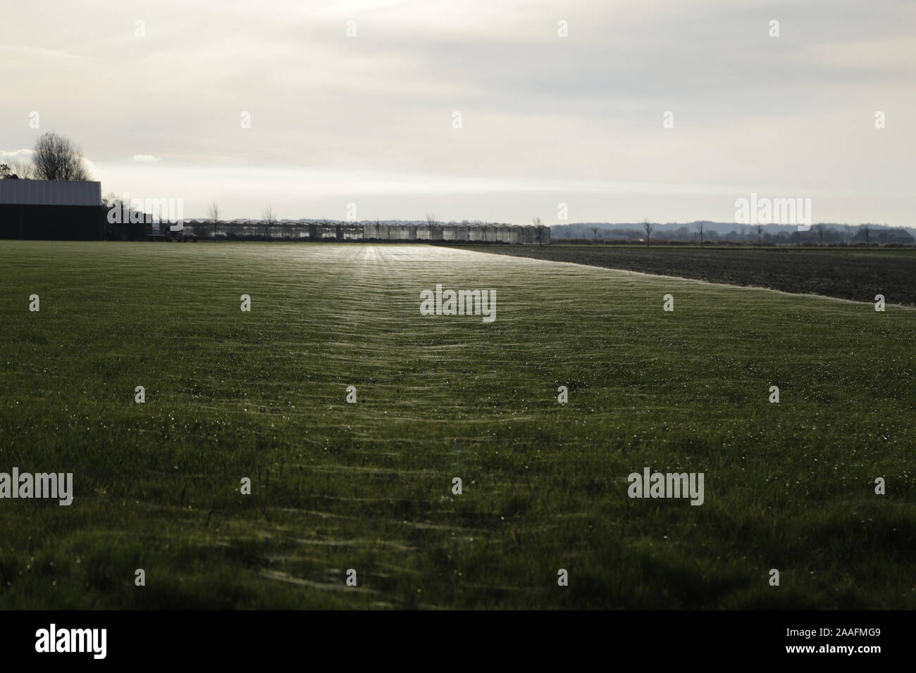 Natural appearance hi-res stock photography and images - Alamy