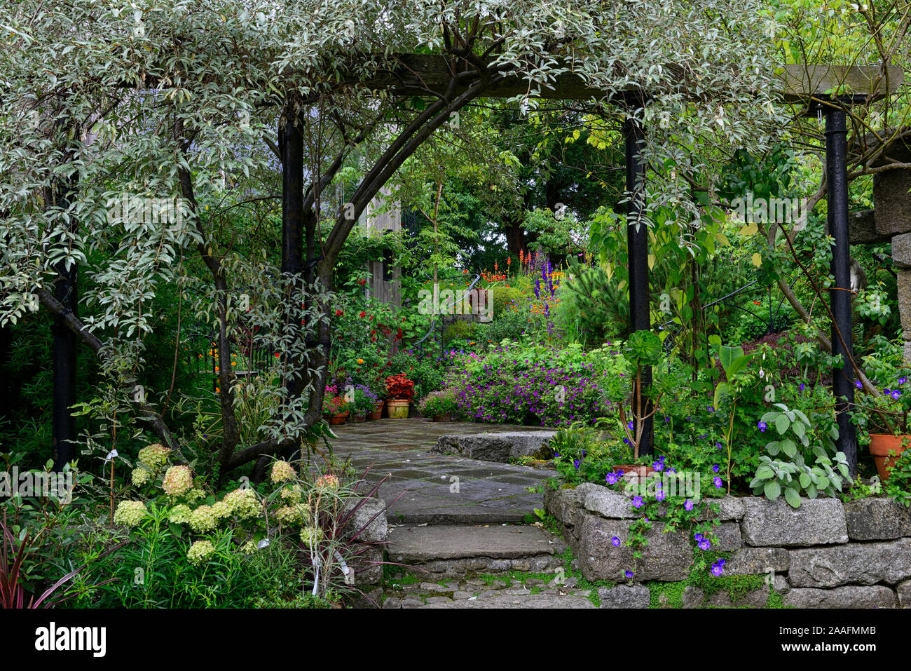 stone,granite steps, path,steep,terrace,Patthana garden,kiltegan ...