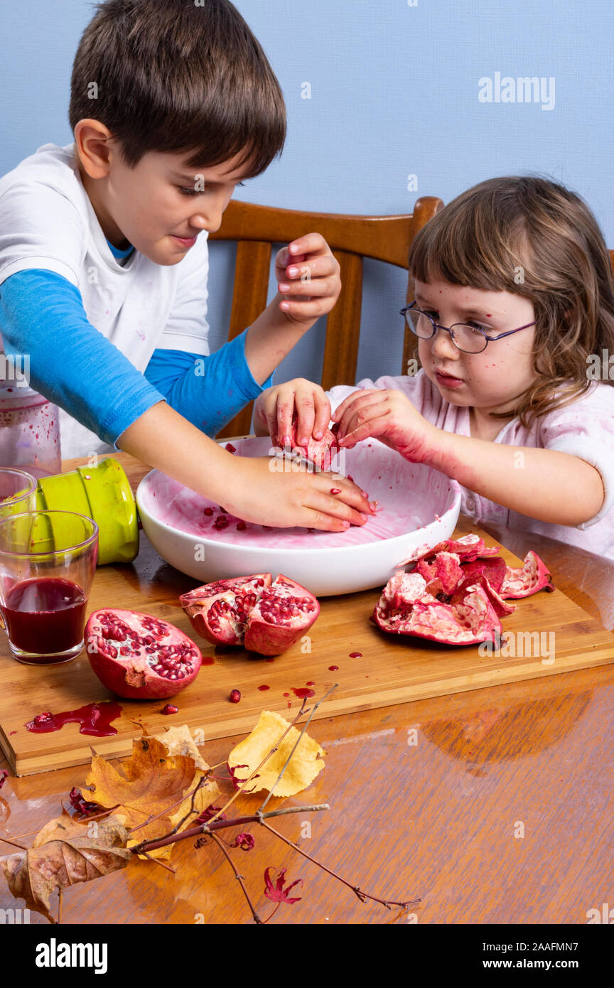 Young boy and girl siblings squeeze pomegranate juice, making a mess ...
