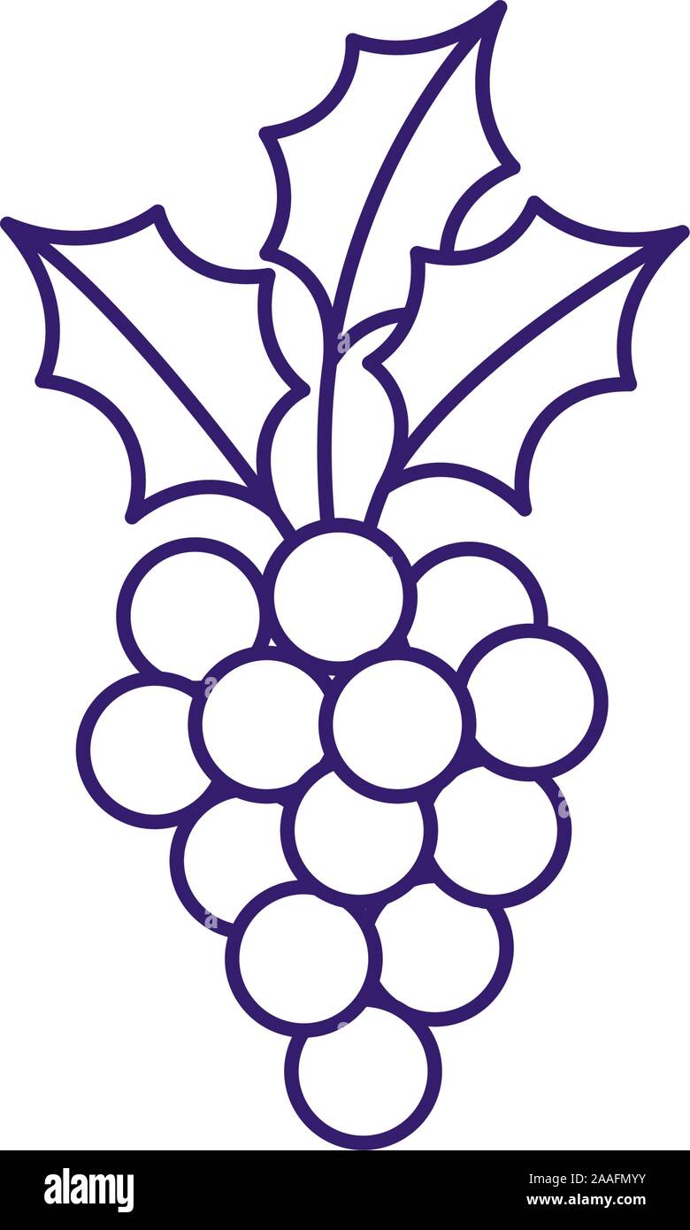 Grapes nutritious juicy Stock Vector Images - Alamy
