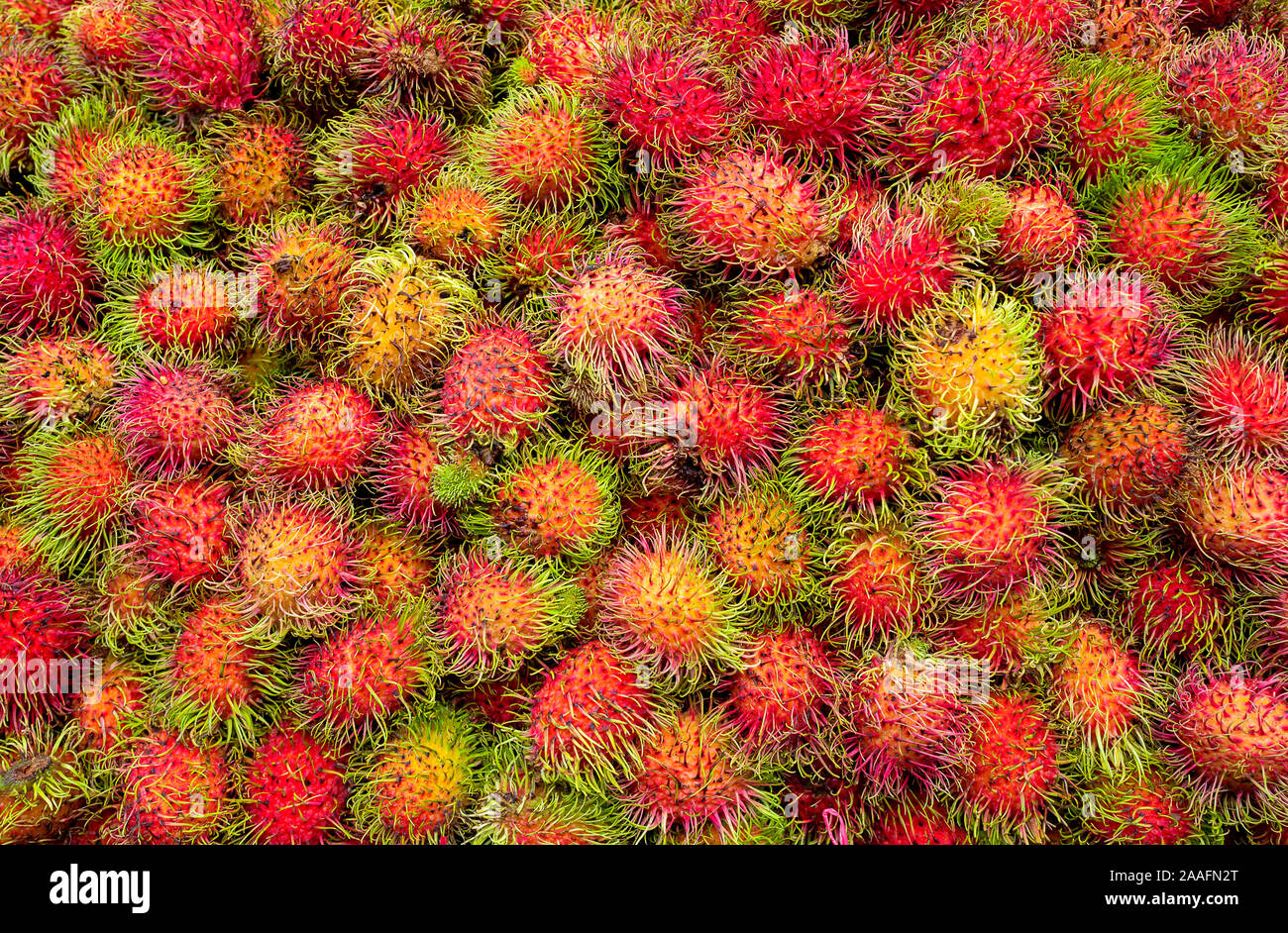 Rambutan background hi-res stock photography and images - Alamy