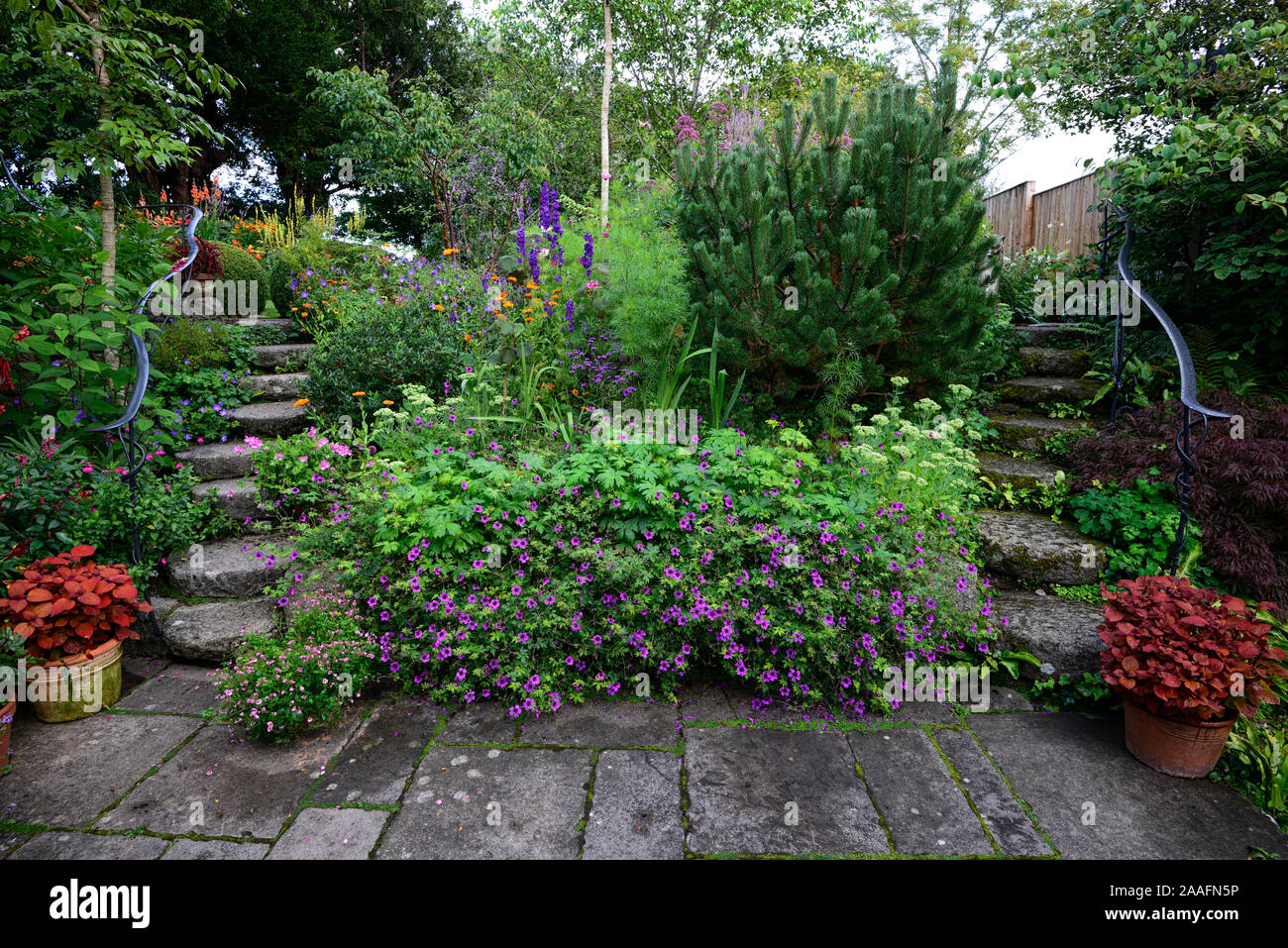 stone,granite steps, path,steep,terrace,Patthana garden,kiltegan ...