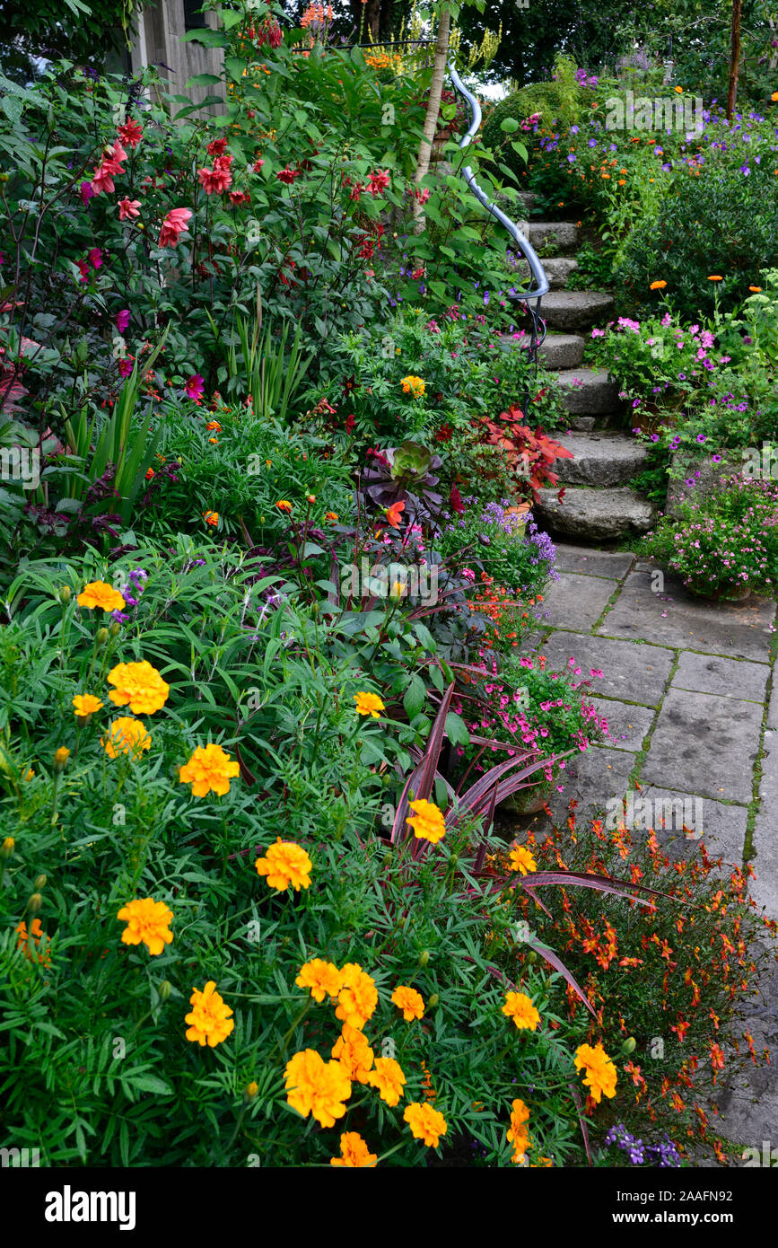 stone,granite steps, path,steep,terrace,Patthana garden,kiltegan ...