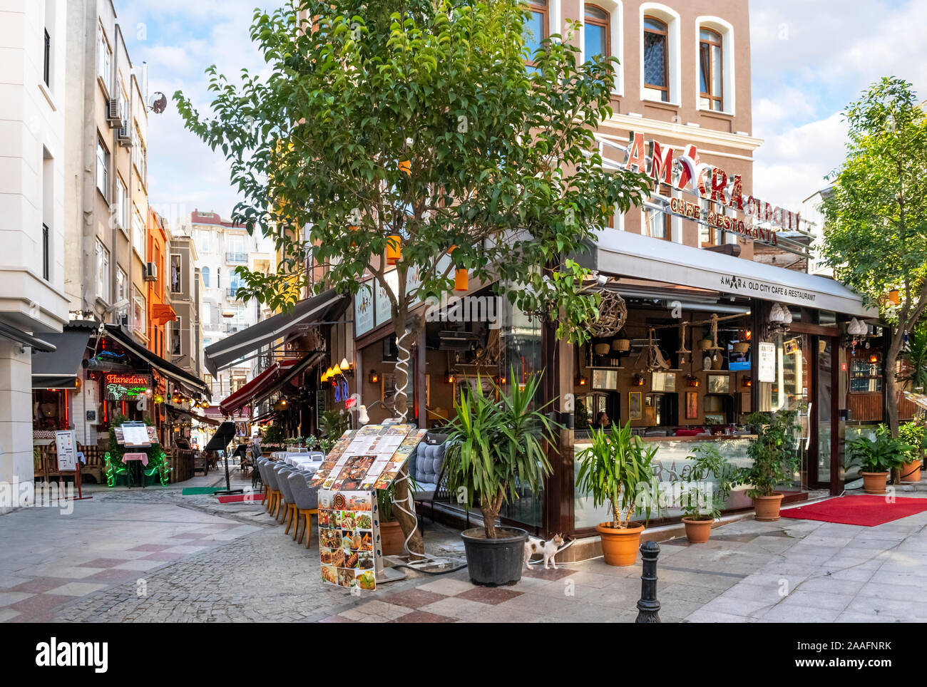 Istanbul cat hi-res stock photography and images - Alamy