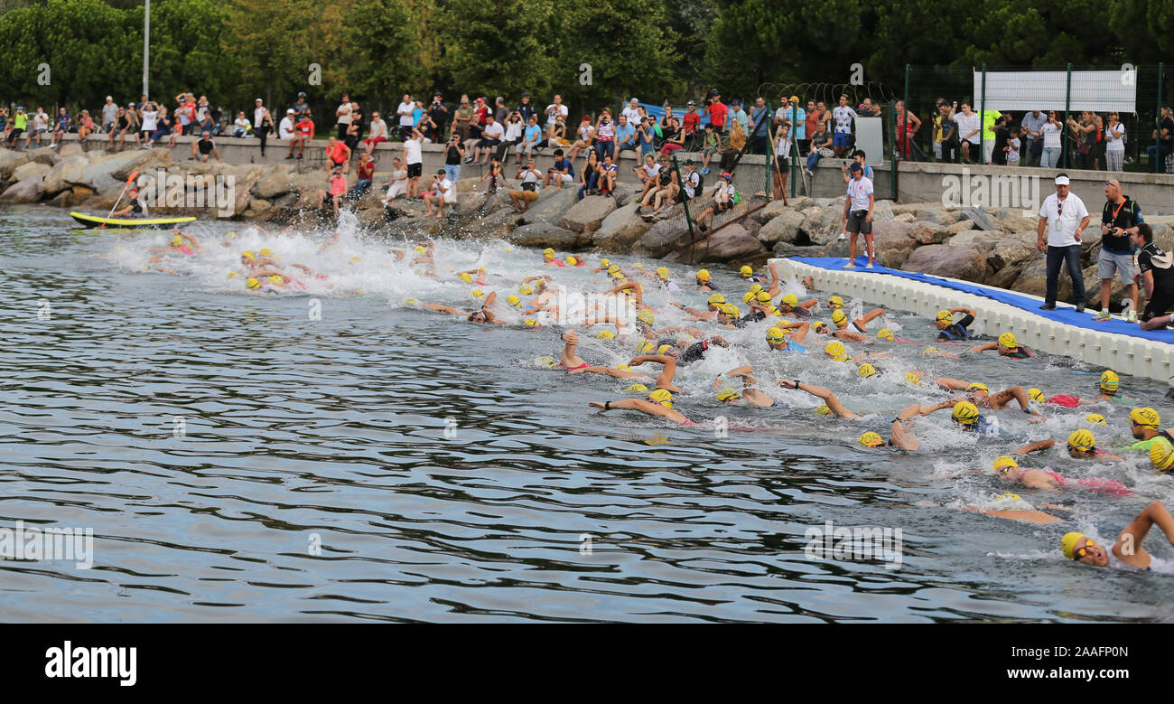 ISTANBUL, TURKEY - AUGUST 04, 2019: Athletes competing in swimming ...