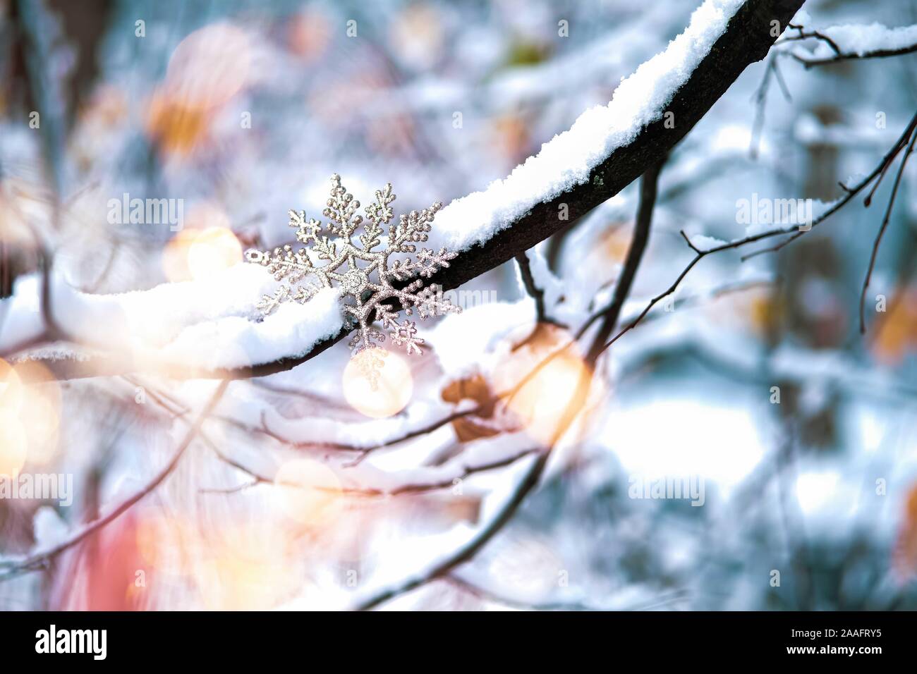 Real Snowflakes Outside