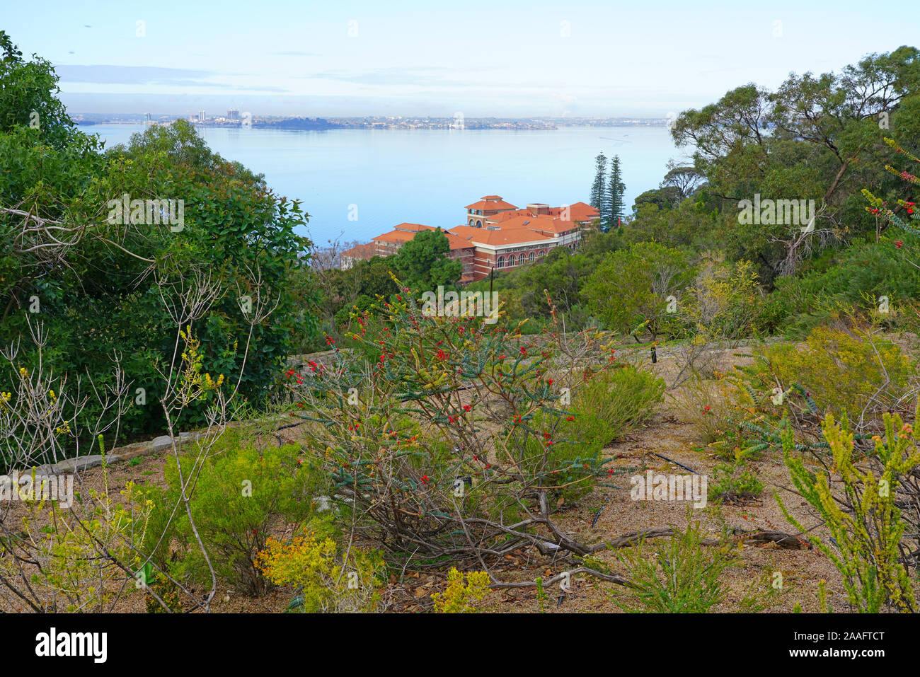 PERTH, AUSTRALIA -11 JUL 2019- View of the cityscape skyline of the ...