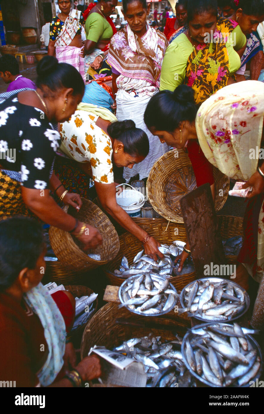India. Goa. Fish market traders Stock Photo - Alamy