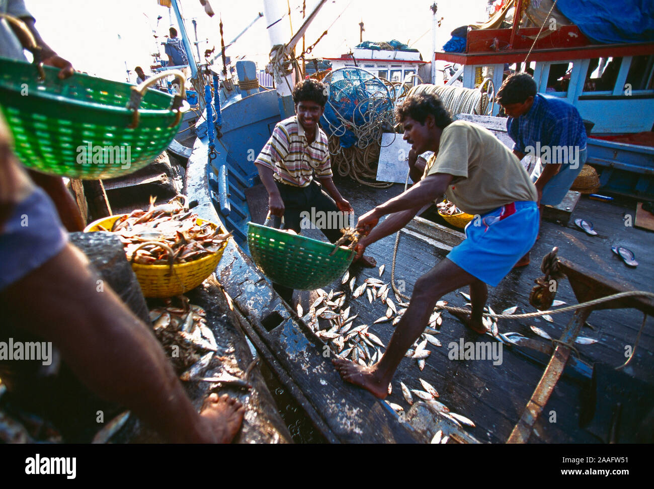 India. Goa. Fishermen unloading their catch Stock Photo - Alamy
