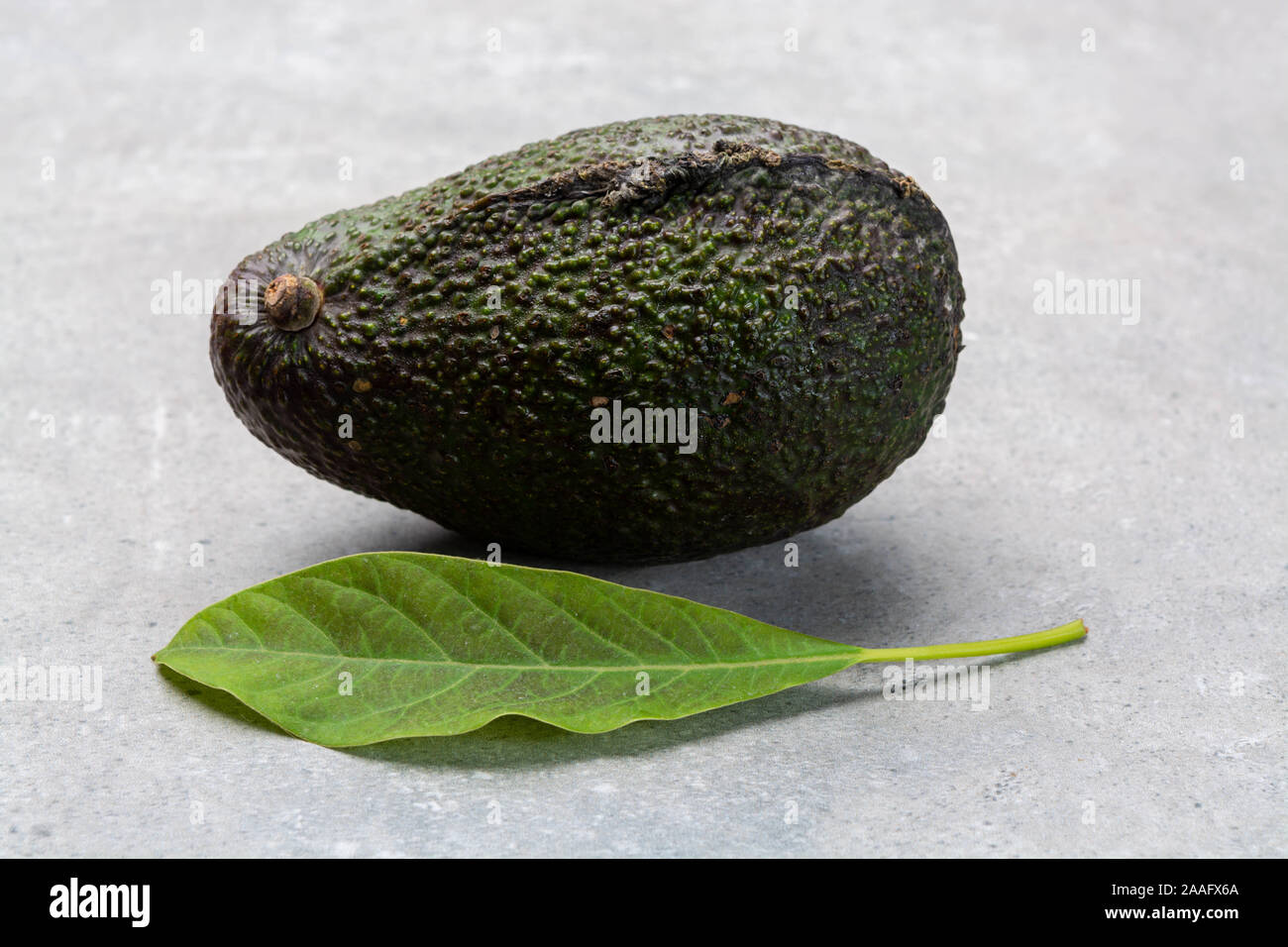 New harvest of fresh ripe hass avocado close up Stock Photo - Alamy