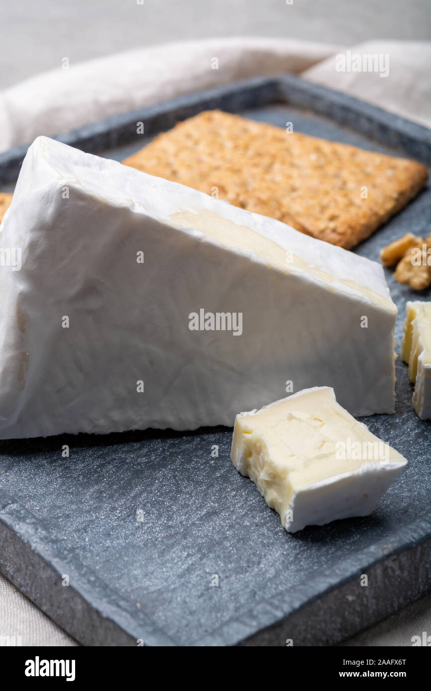 Cheese collection, piece of French brie cheese with white mold close up ...