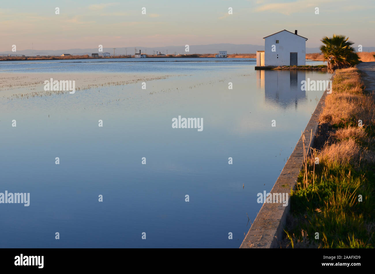 The Albufera natural park, a wetland of international importance in ...