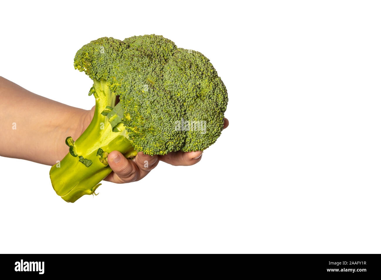 Hand holding broccoli on a white background. Healthy food. Vegetables ...