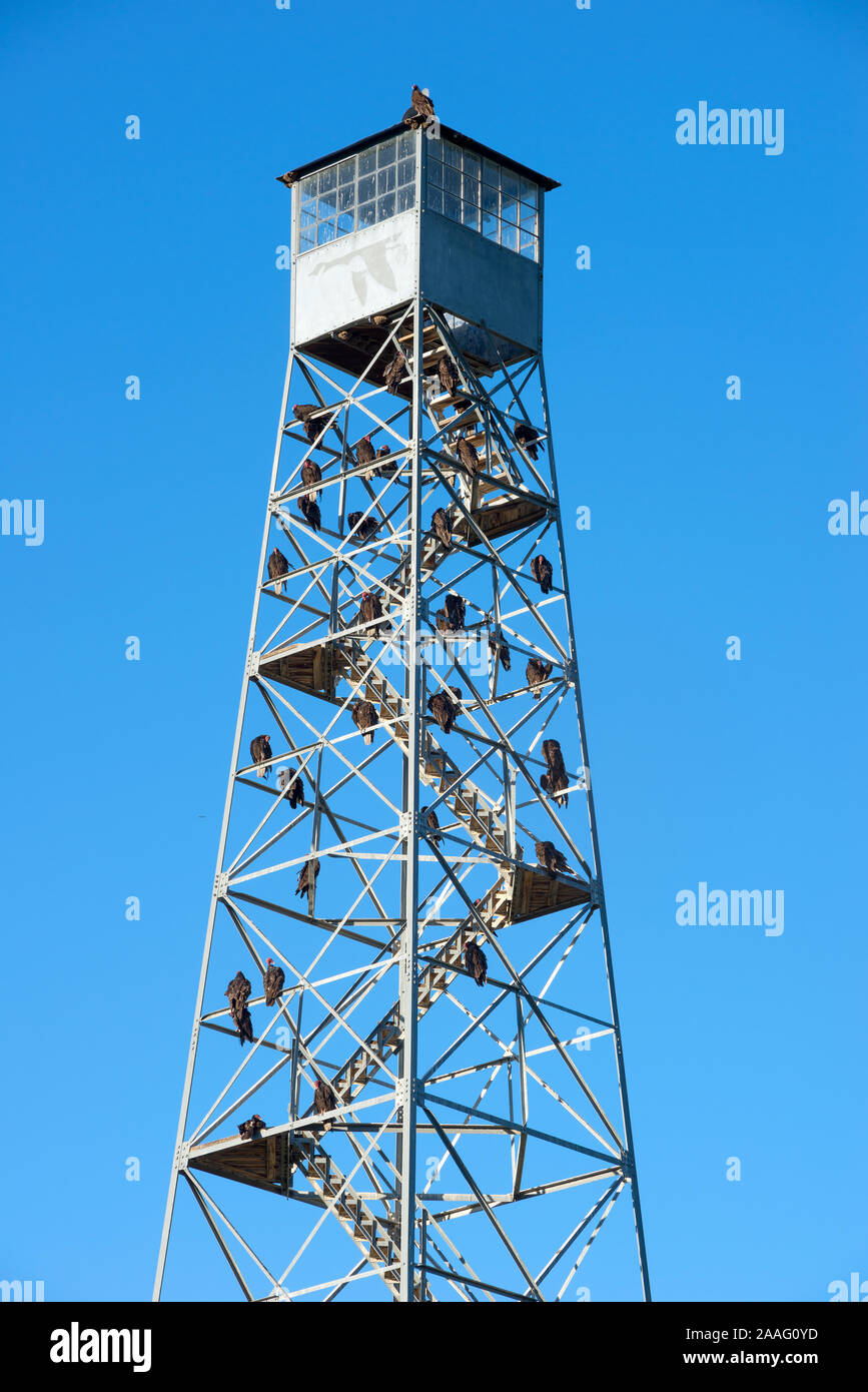 Fire lookout tower hi-res stock photography and images - Alamy