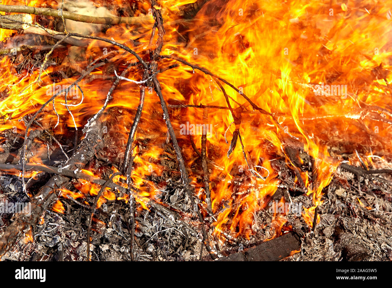 Bonfire closeup.Ignite the fire. Burning branches and wood Stock Photo ...