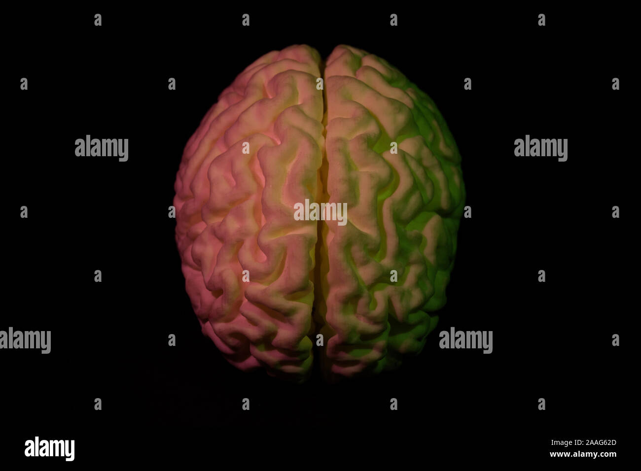 3D printed brain from a MRI scan of a human brain Stock Photo - Alamy
