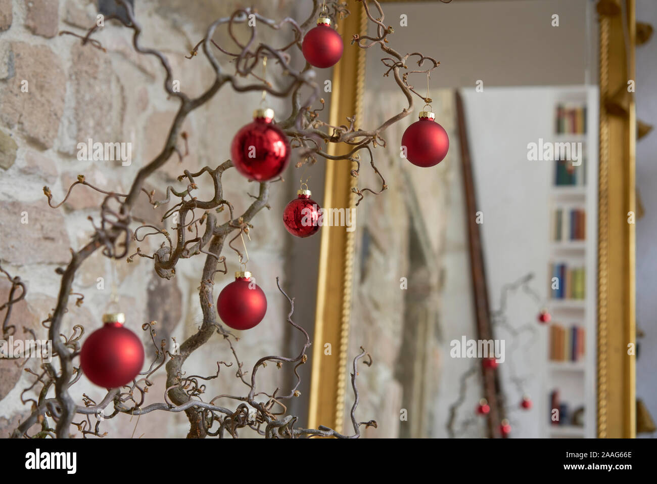 Close up of red christmas balls at a branch in front of a stone wall ...