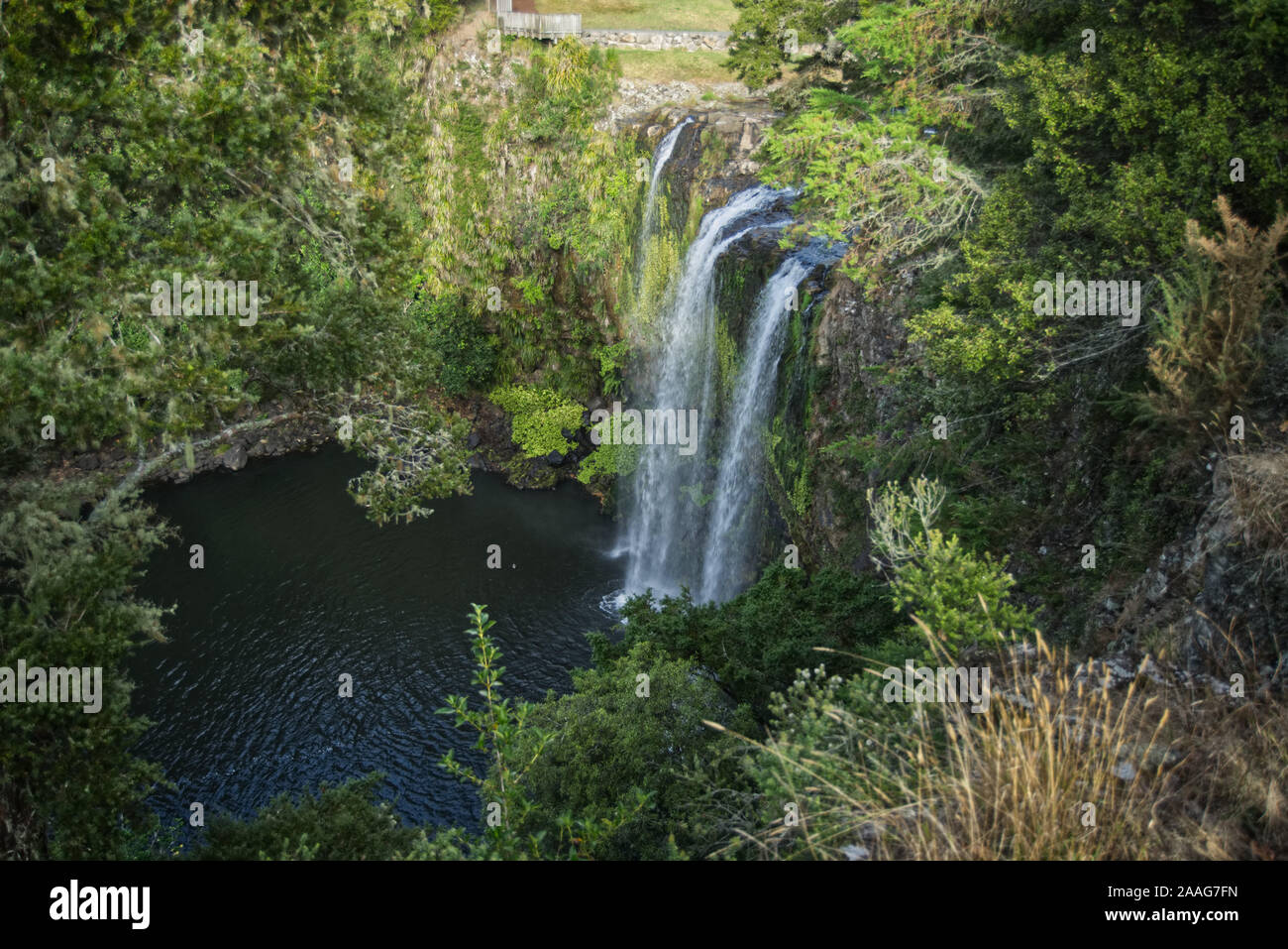 Landscape whangarei falls north island hi-res stock photography and ...