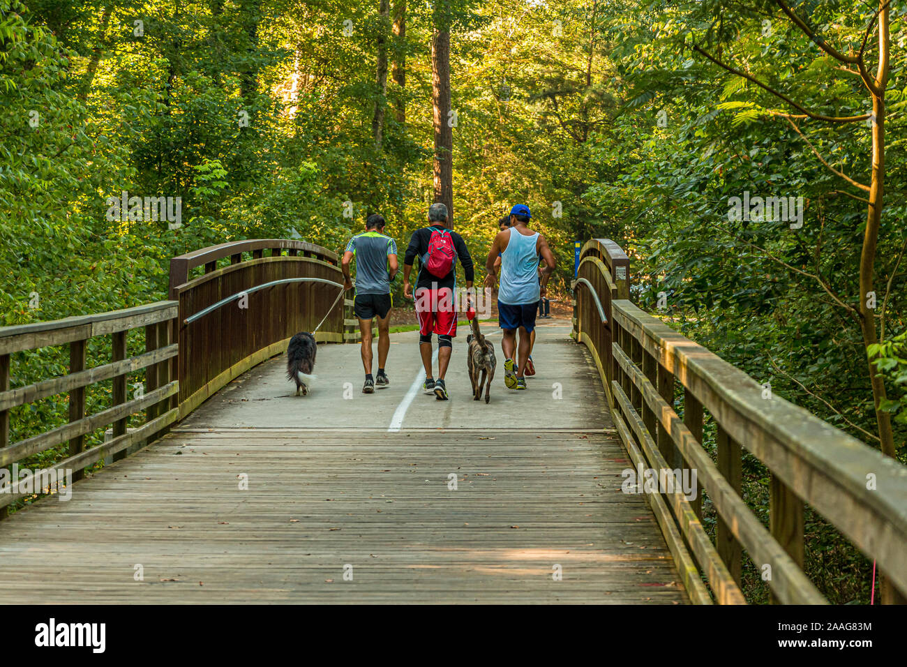Men Running Across Bridge with Dogs Stock Photo - Alamy