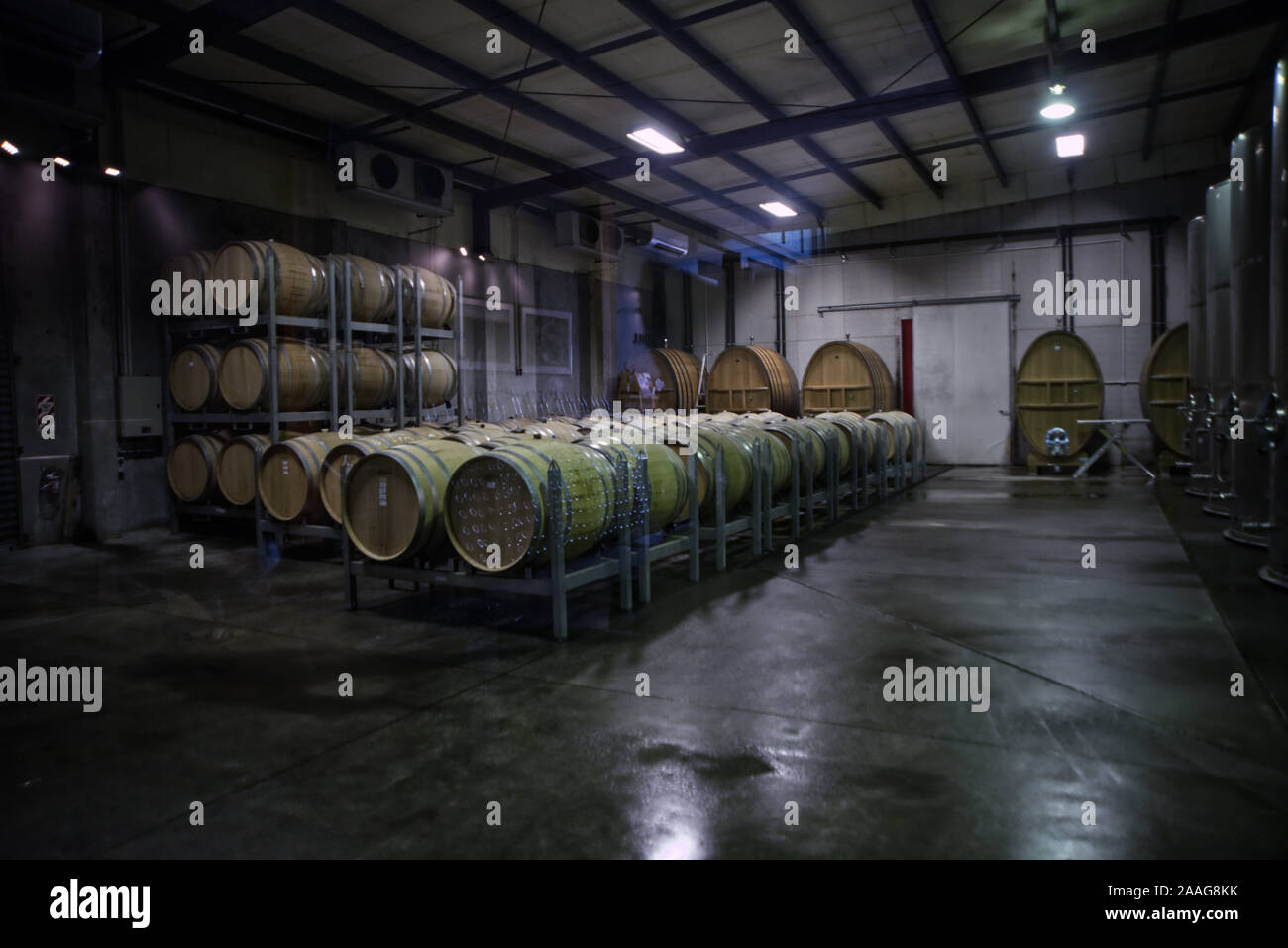 Wine barrels aging in warehouse Stock Photo - Alamy