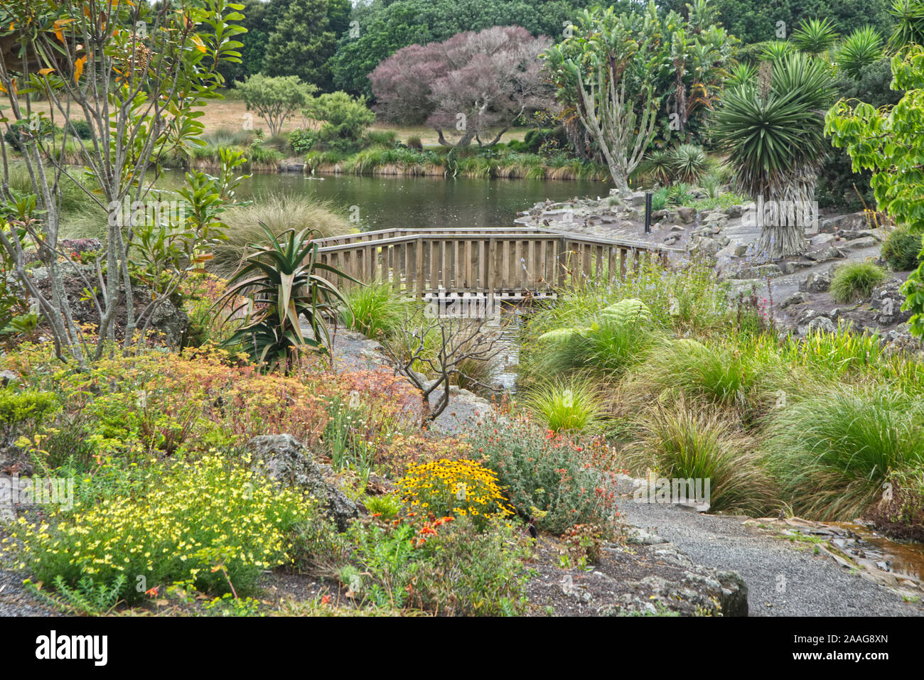 Bridge and creek at Auckland Botanical Garden Stock Photo - Alamy