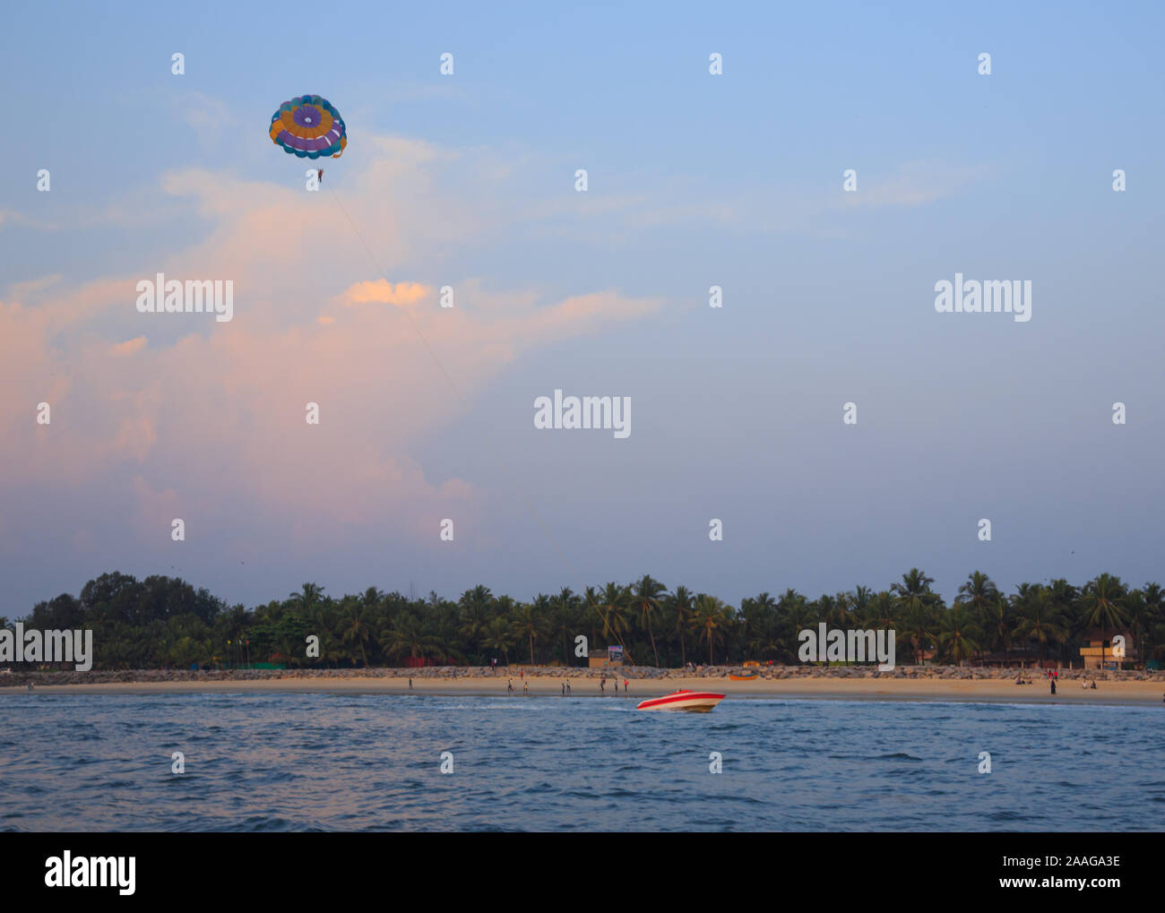 Parasailing at Malpe Beach (Udupi, Karnataka, India Stock Photo - Alamy