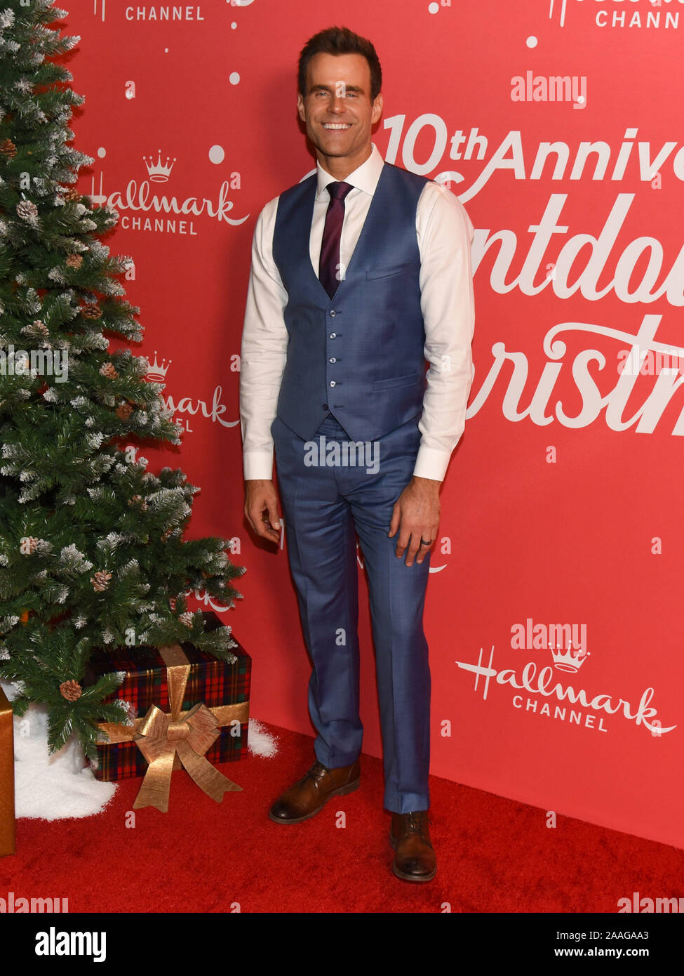 20 November 2019 - Hollywood, California - Cameron Mathison. Hallmark ...