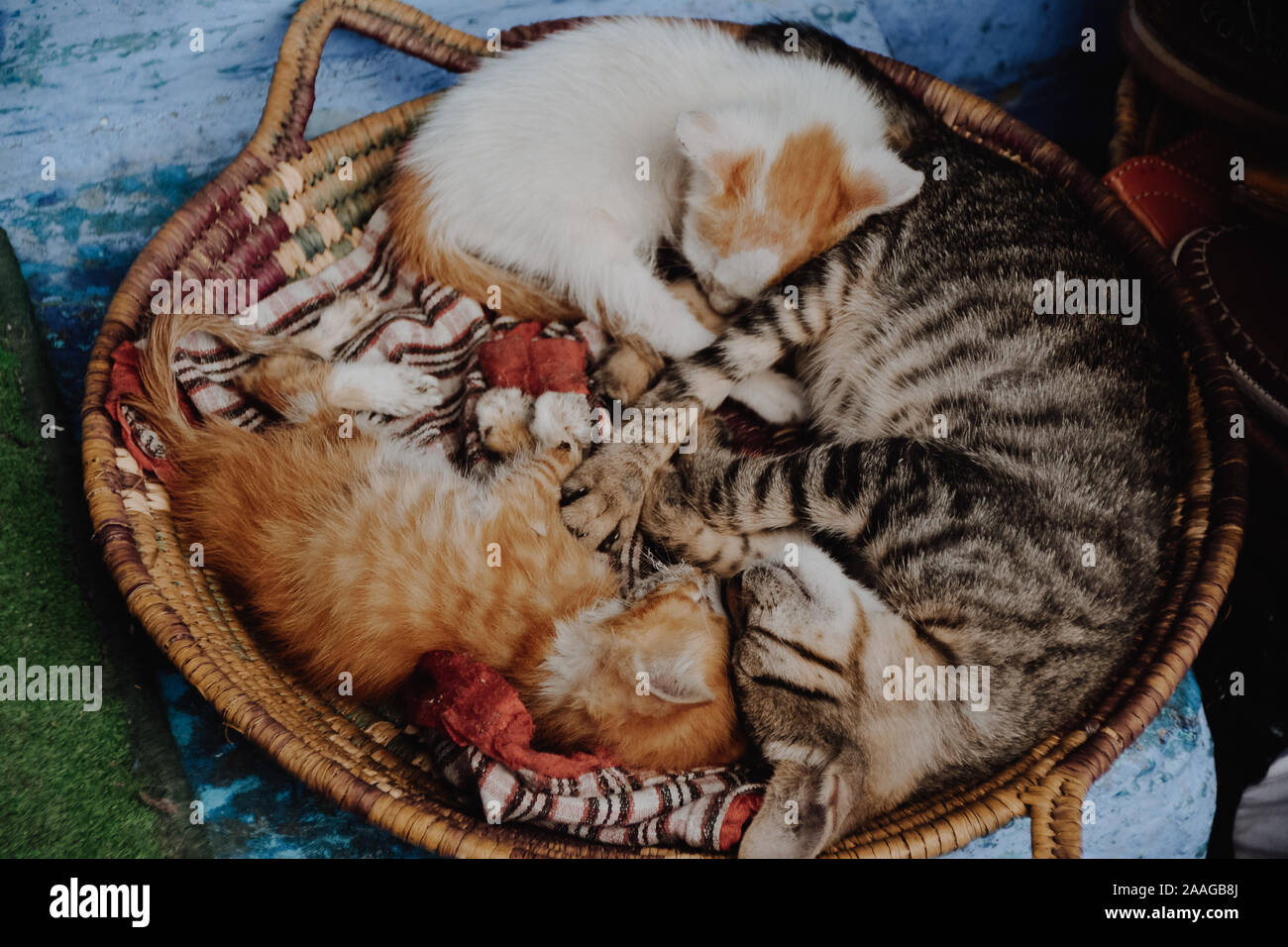 Nap circle hi-res stock photography and images - Alamy