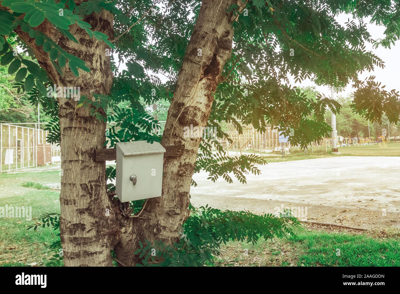 Old rusty electrical power control box on tree in the public park Stock ...