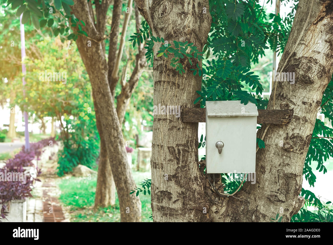 Old rusty electrical power control box on tree in the public park Stock ...