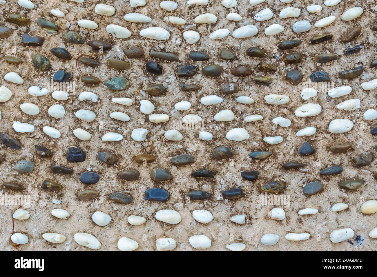 The top view of the dark and white pebbles pathway is a curved path in ...