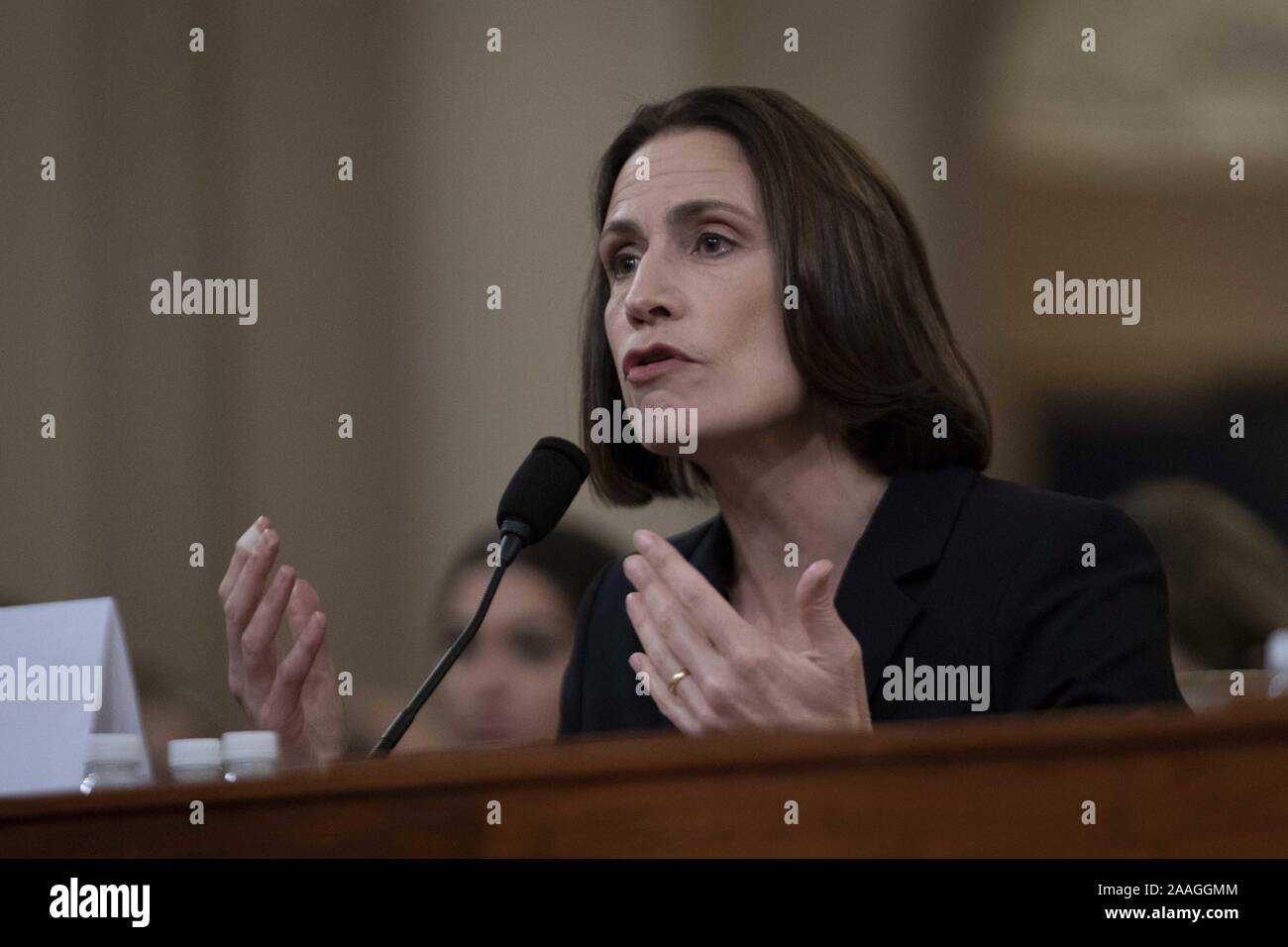 Fiona hill 2016 hi-res stock photography and images - Alamy