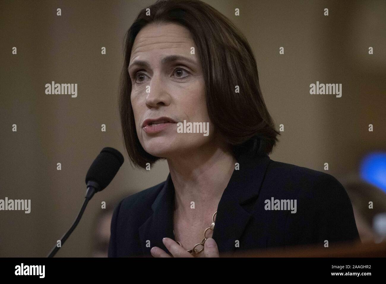 Fiona hill 2016 hi-res stock photography and images - Alamy