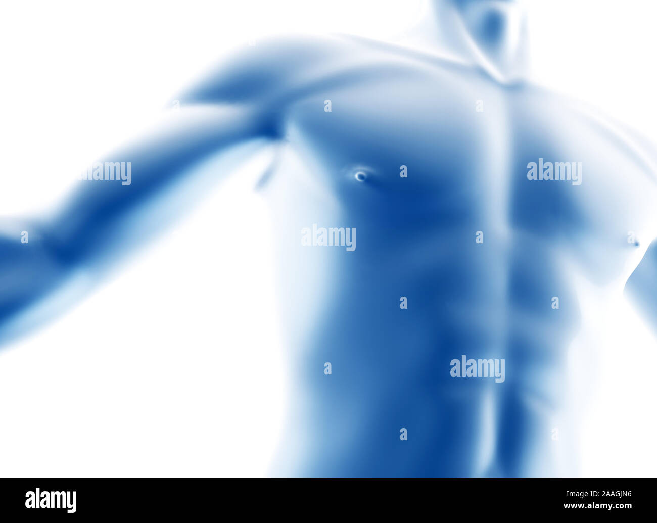 Human body - man body - isolated model - 3d render Stock Photo - Alamy