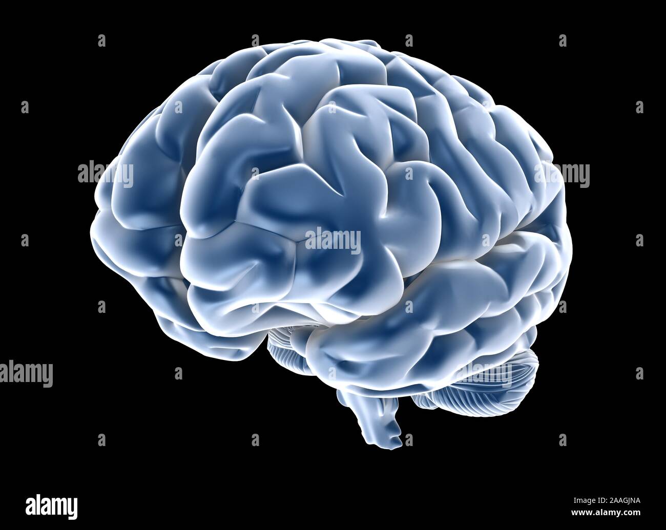 Brain and pulses simulation process of the human thinking - 3d render ...