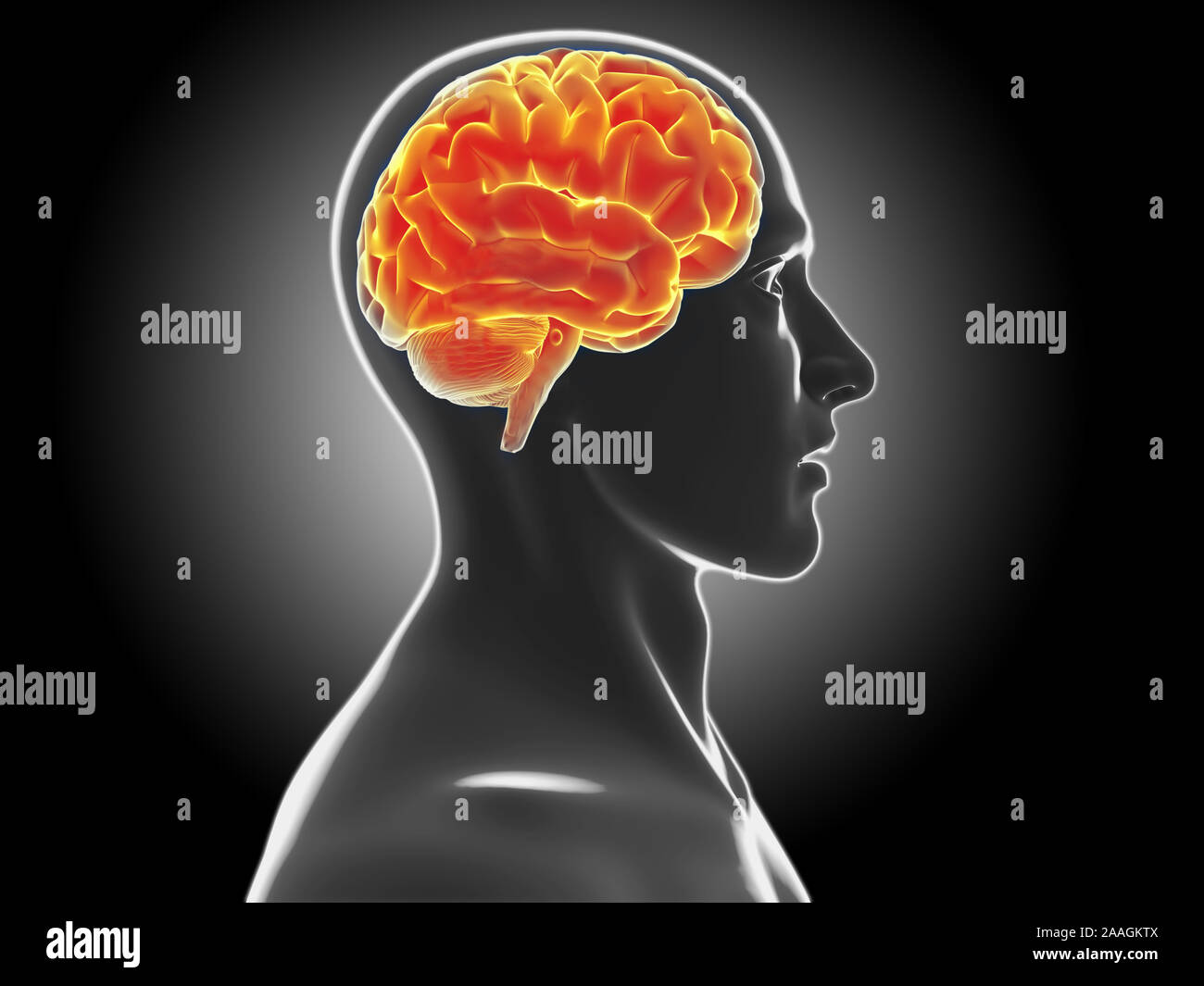 Brain and pulses simulation process of the human thinking - 3d render ...