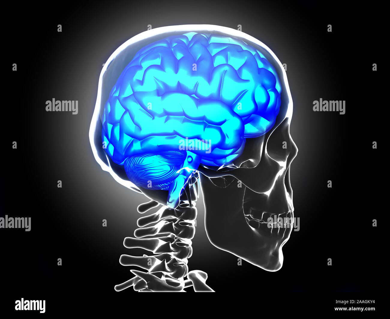 Brain and pulses simulation process of the human thinking - 3d render ...