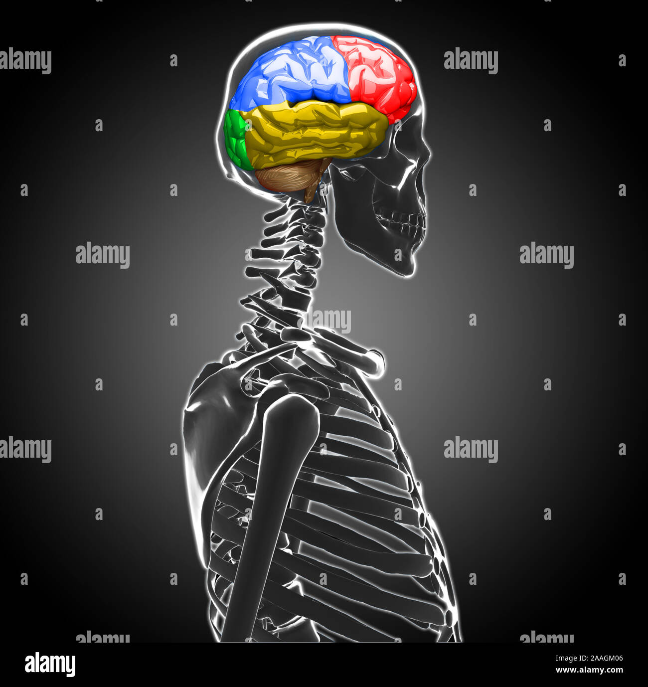 Brain and pulses simulation process of the human thinking - 3d render ...