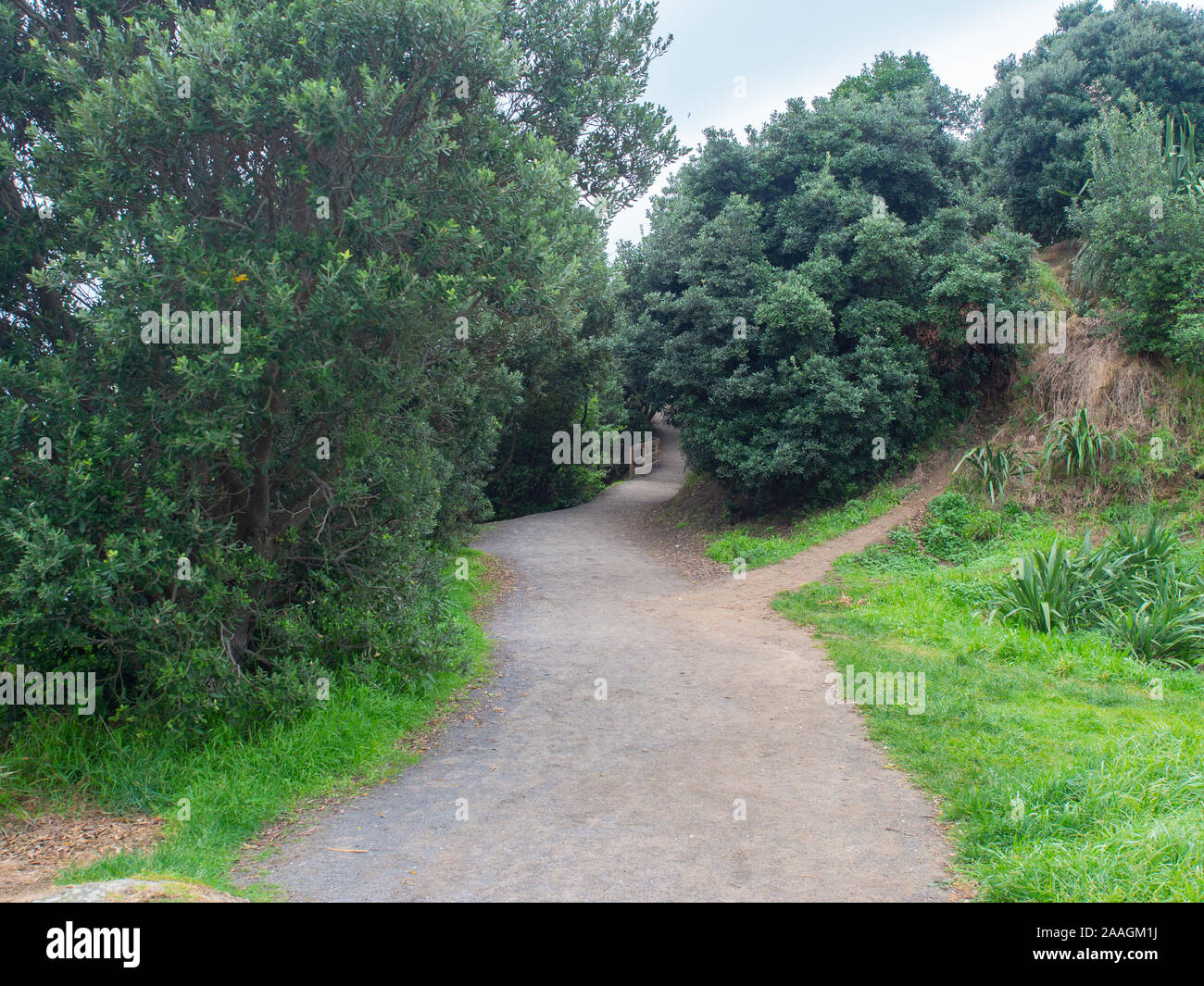 Hiking Track Through The Bush Stock Photo - Alamy