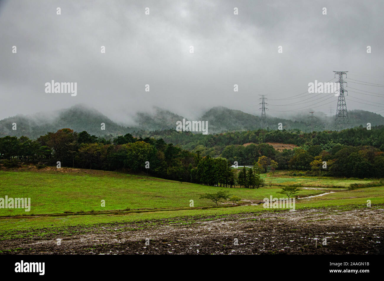 Japan mountain forest mist hi-res stock photography and images - Alamy