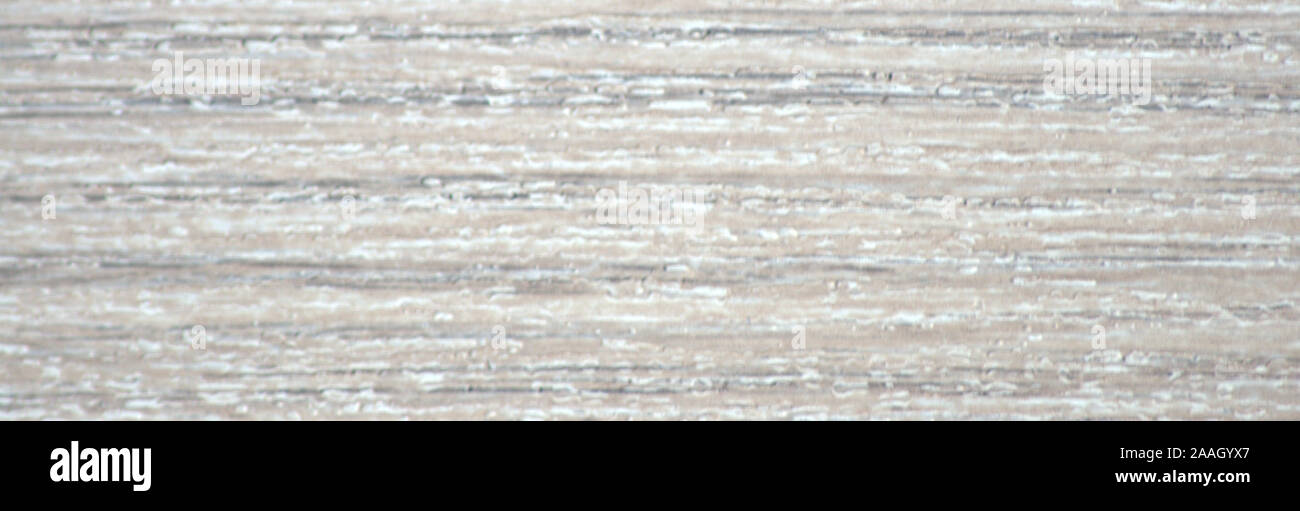 Bleached oak, close-up and horizontal positioning of sawn wood ...