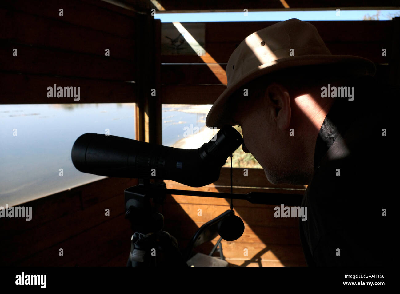 Man looks through a telescope at birds in Eilat's International Bird ...